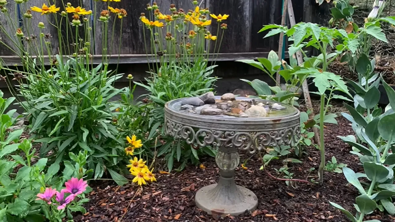 9 DIY Garden Hacks That Will Blow Your Mind